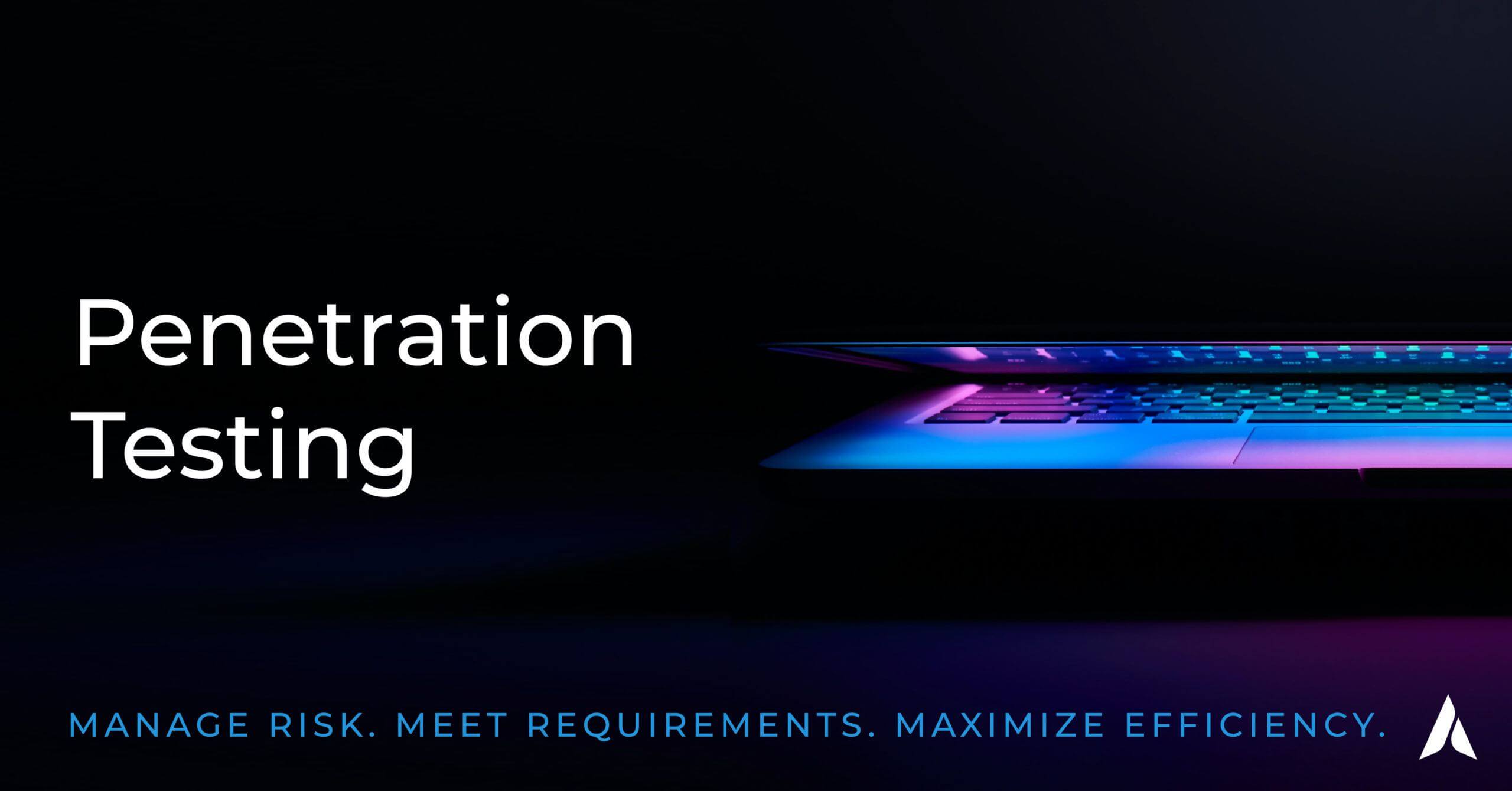 Penetration Testing Services | Pen Testing Company | Agio